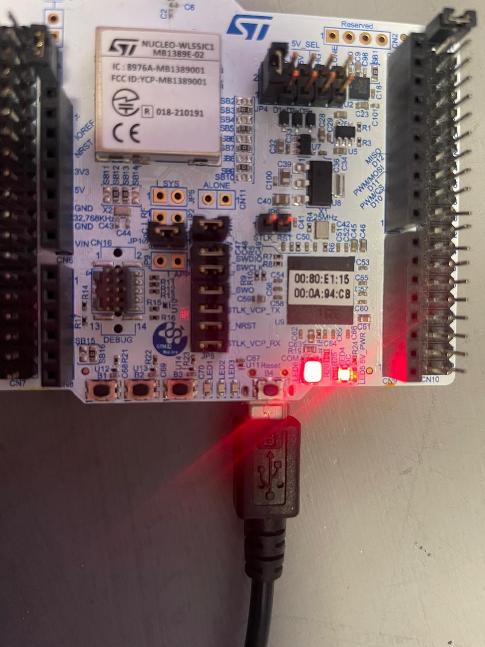 Nucleo-WL55JC1 can't connect to CubeIDE or CubePro... - STMicroelectronics Community