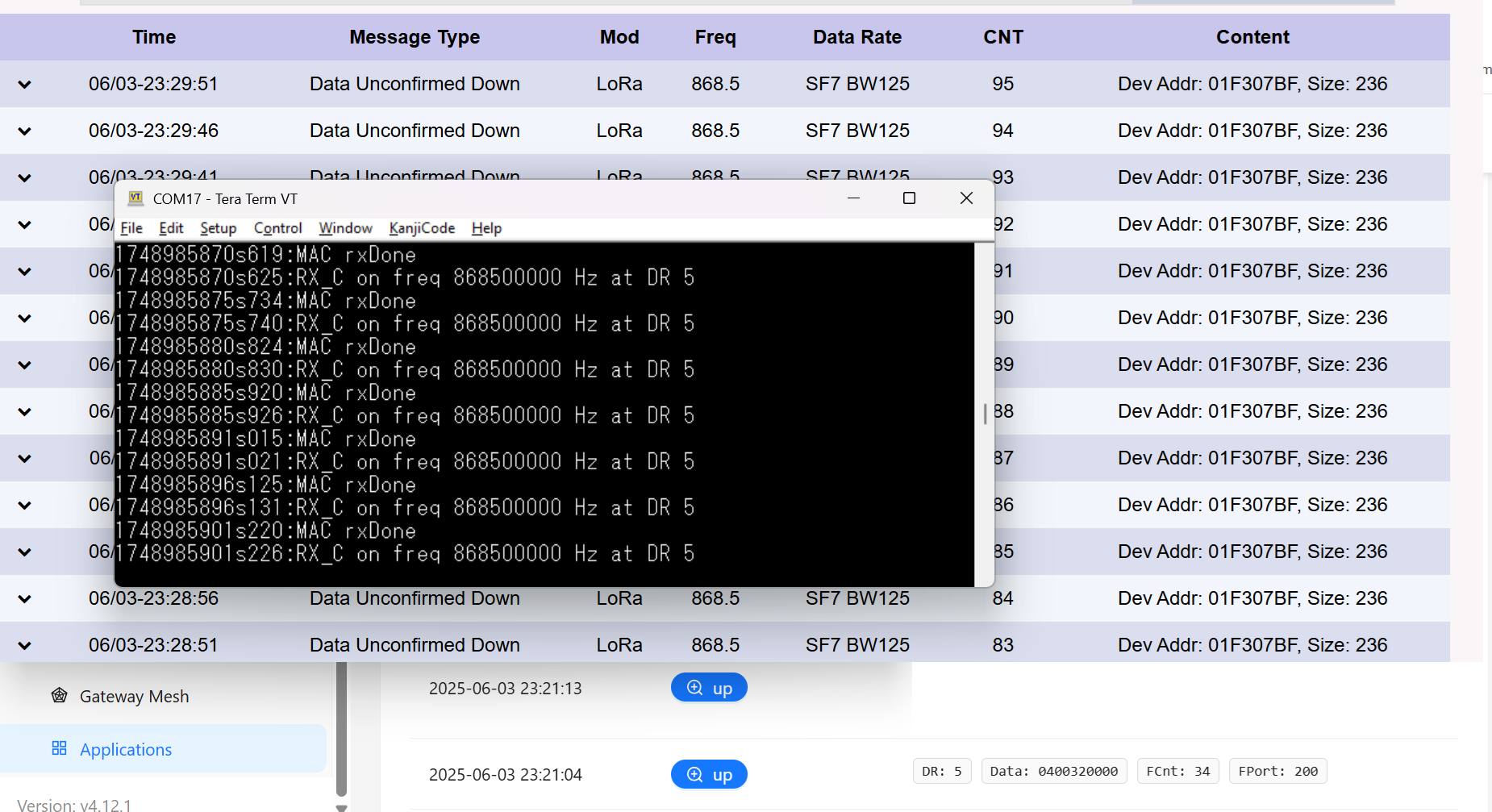 STM32WL FUOTA Firmware swapping issue - STMicroelectronics Community