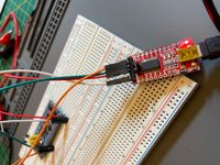 Beginner`s ask for help to flash the STM32 - STMicroelectronics Community