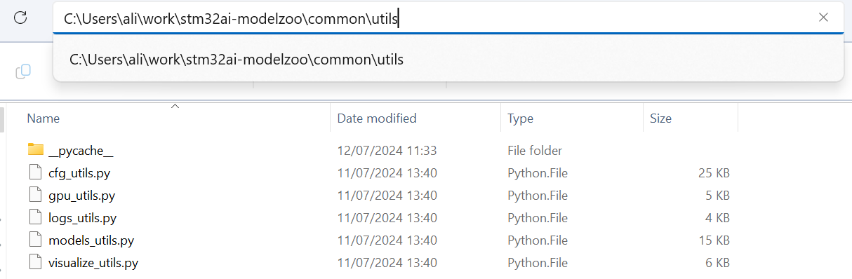 Problem with "train.py" file ModelZoo - STMicroelectronics Community