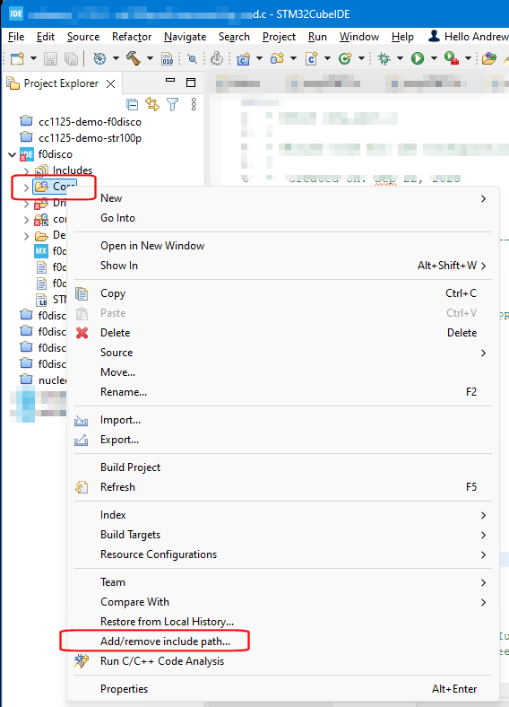 How to configure correctly path and symbols - STMicroelectronics Community