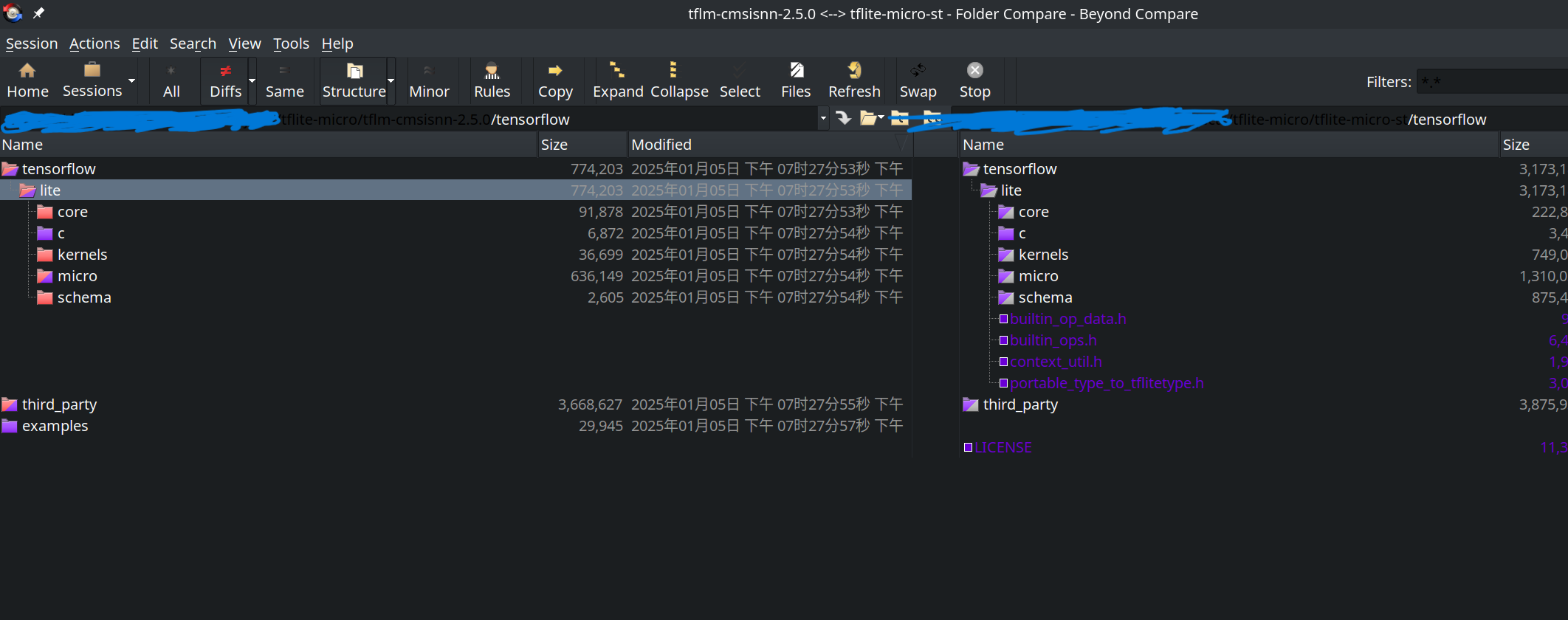 How to use TFLite Micro Runtime with optimized ker ...